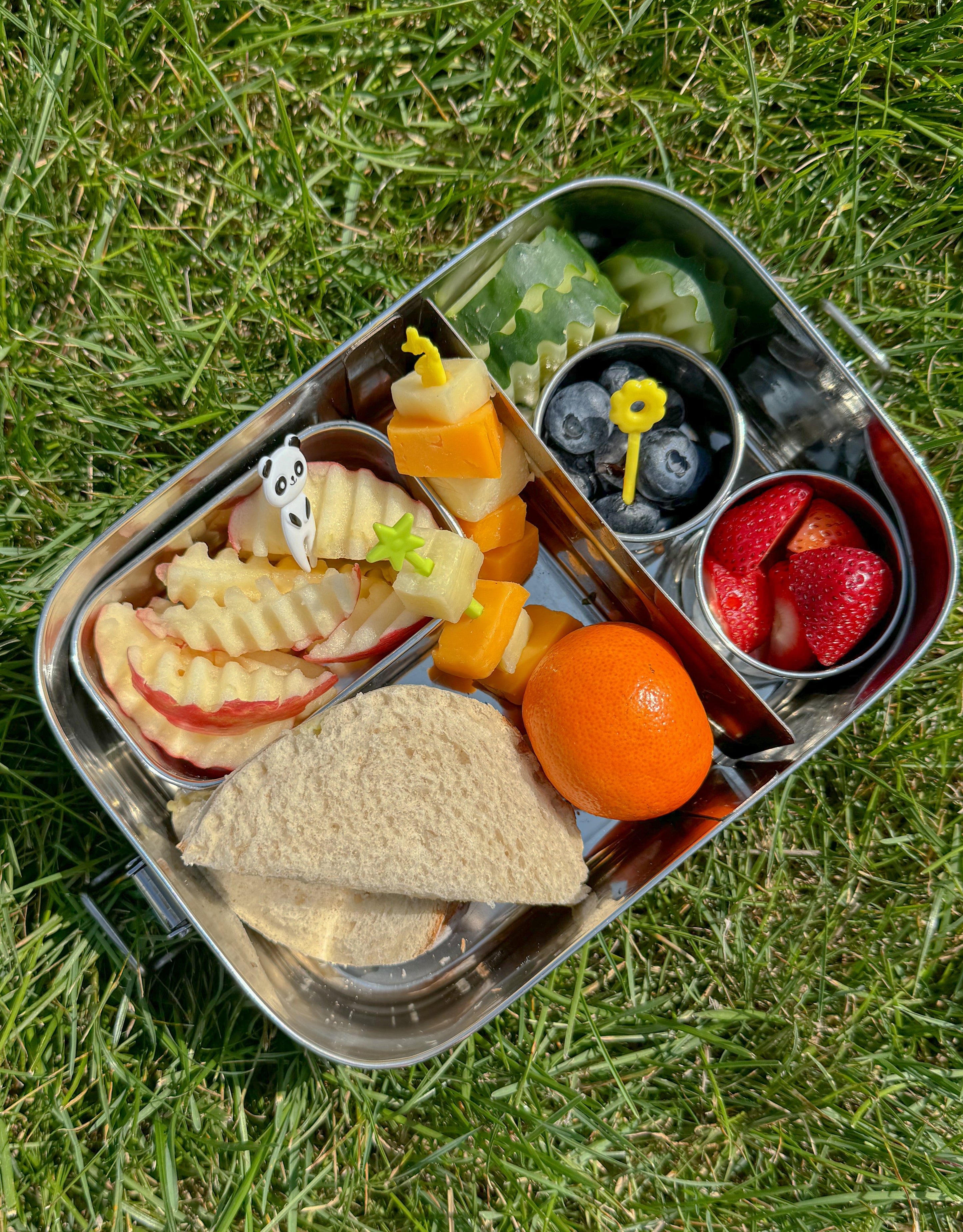 Busy Benny the original Stainless Steel Bento Snack and Activity Box