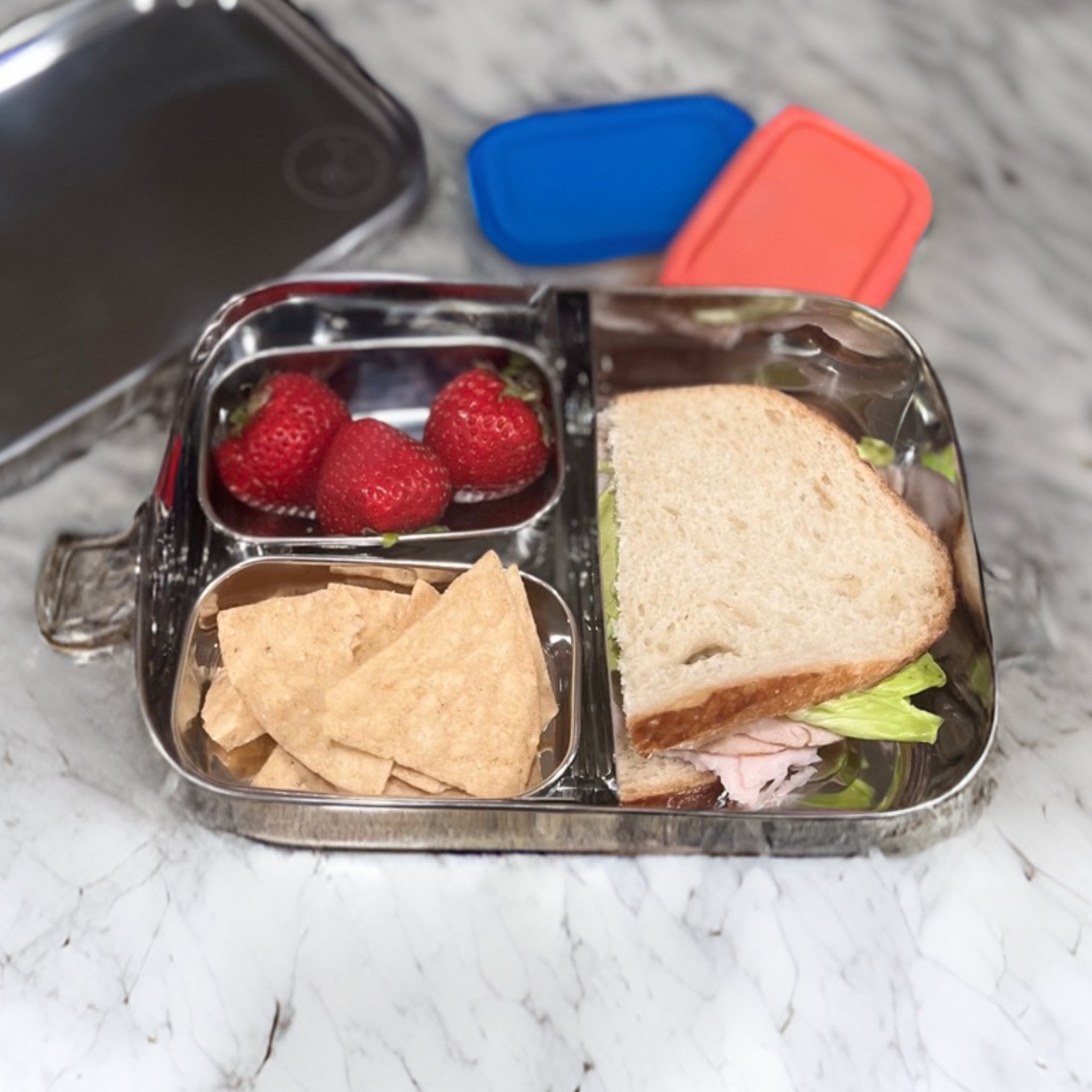 Busy Benny the original Stainless Steel Bento Snack and Activity Box